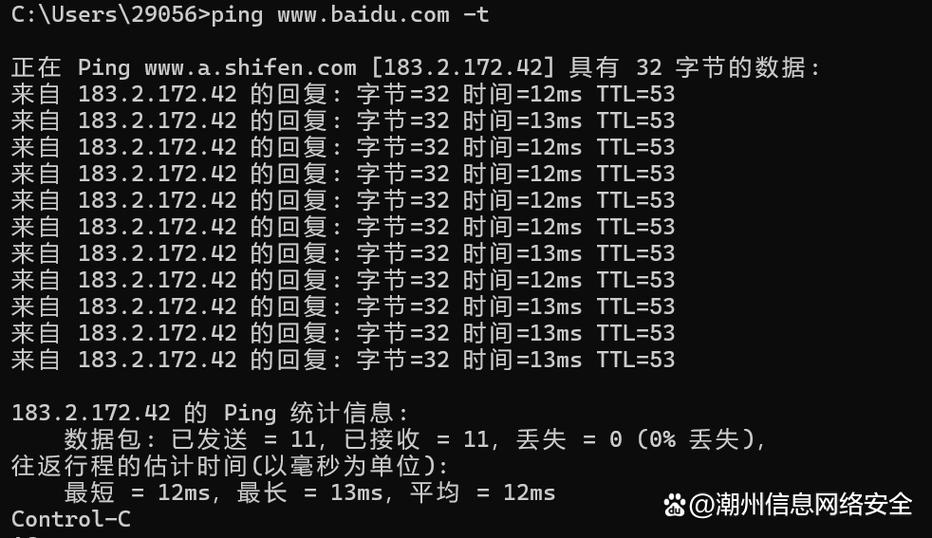强大的ping工具图标
