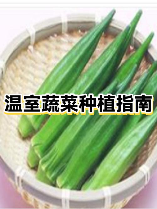 种植蔬菜的小方法图标