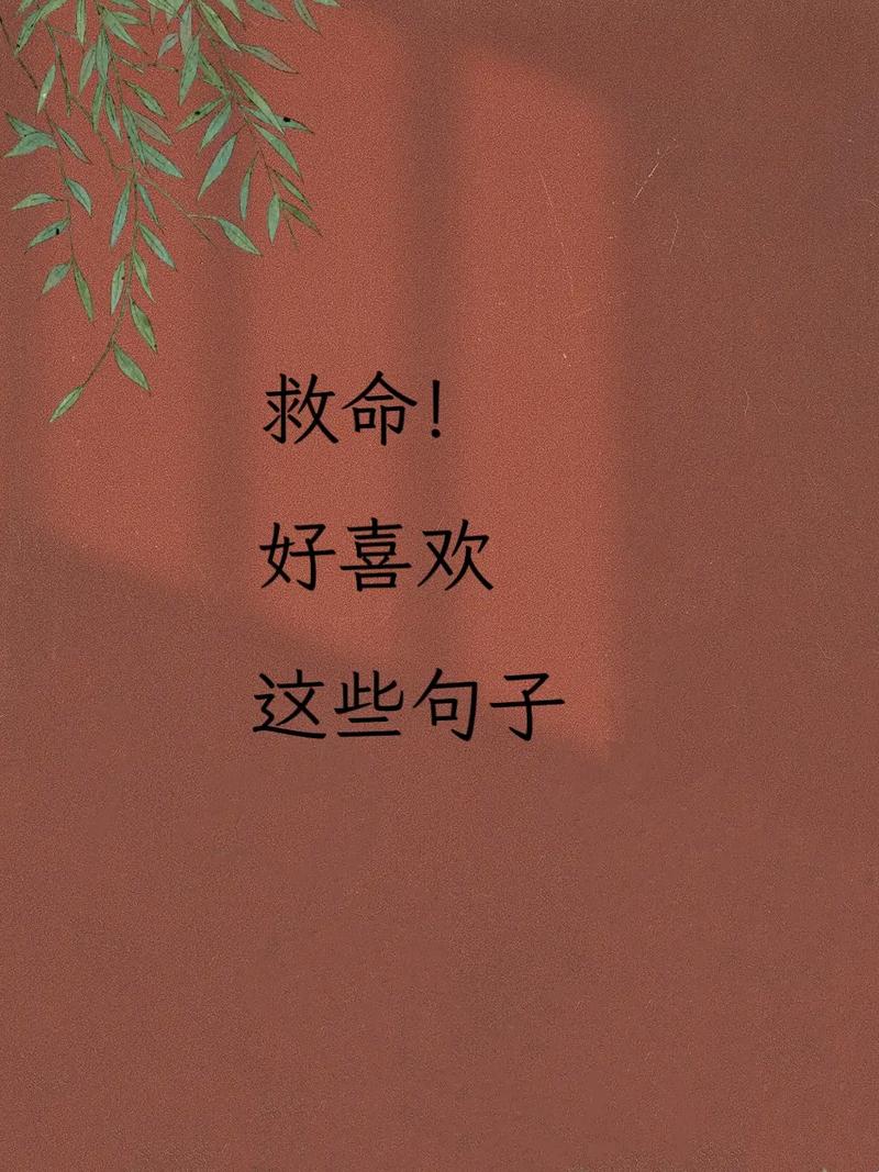 唯美句子图标