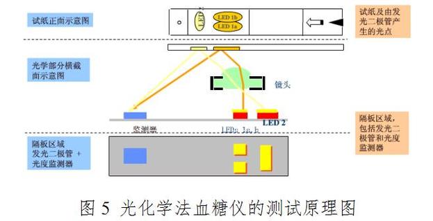 血糖仪原理
