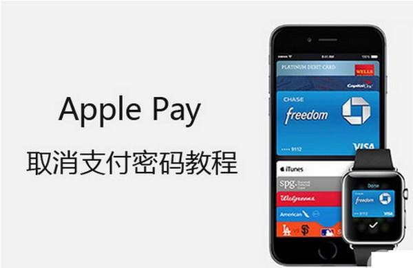 applepay小额免密支付图标