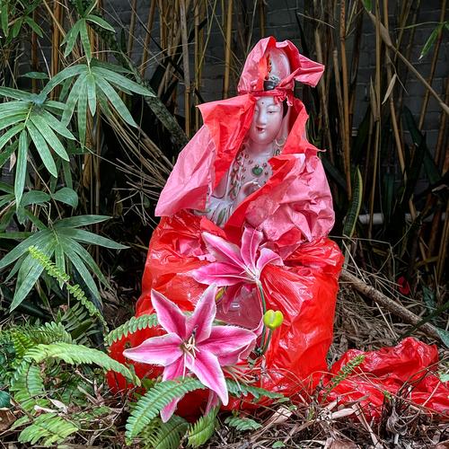 番茄的马甲 海神的祭品图标