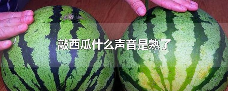 西瓜视频声音调节图标