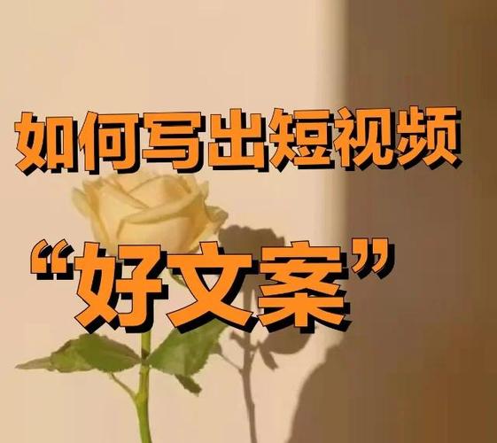 顶尖文案网站,内容神器,梅花网