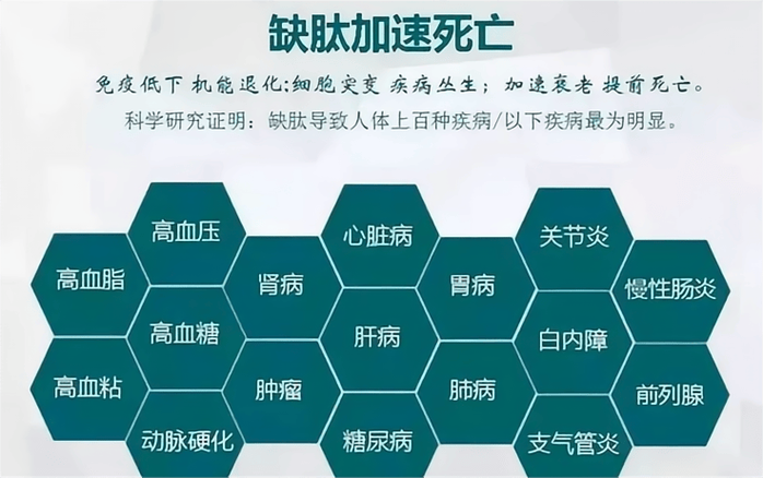 肽的功能与主治图标