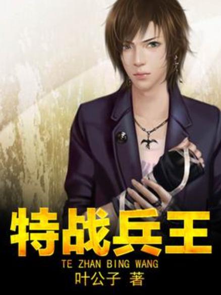 小说野狼特战兵王截图
