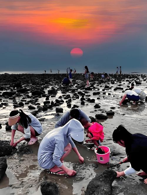 真实赶海视频图标