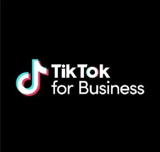 tiktok国际版苹果安装图标