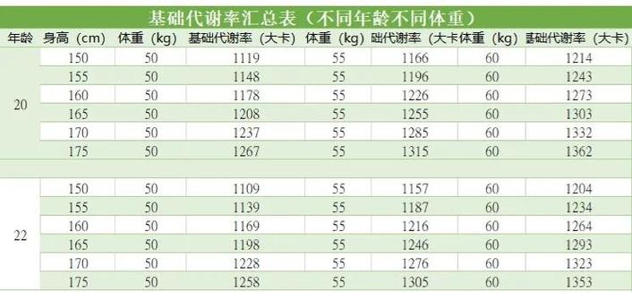 基础代谢计算