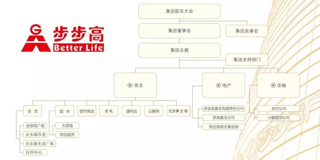 步步高电子的股权结构图标