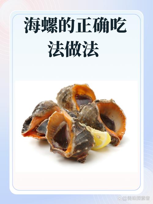 怎么吃海螺图标