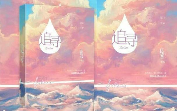 追寻小说