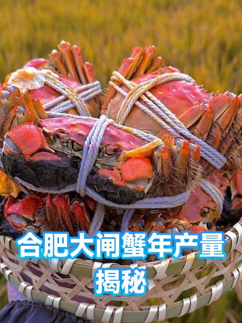 1亩螃蟹一年纯收入图标