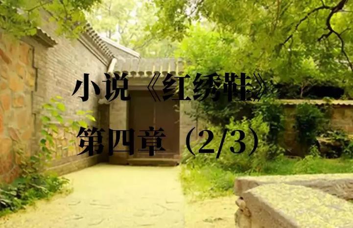 红绣鞋小说图标