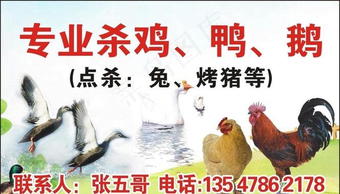 卖鸡鸭鹅的广告语图标