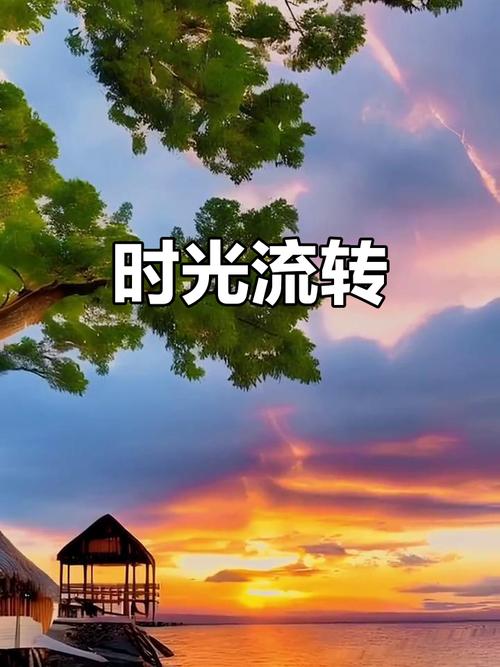 《时光一去不回头》截图