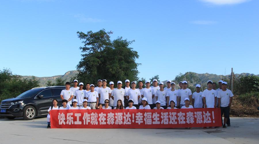 吸引人的团队名字图标