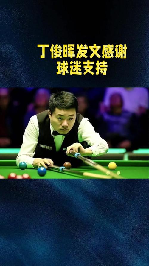 丁俊晖的资产有多少亿截图