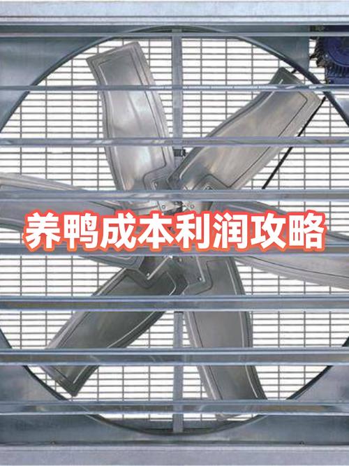 养鸭1000只利润和成本图标