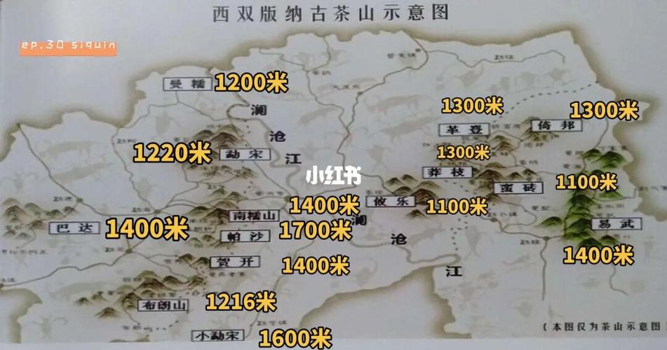 西双版纳海拔高度是多少