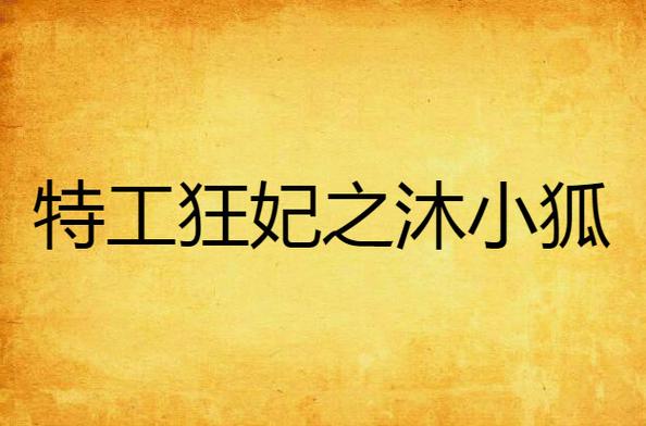 特工狂妃之沫小狐图标