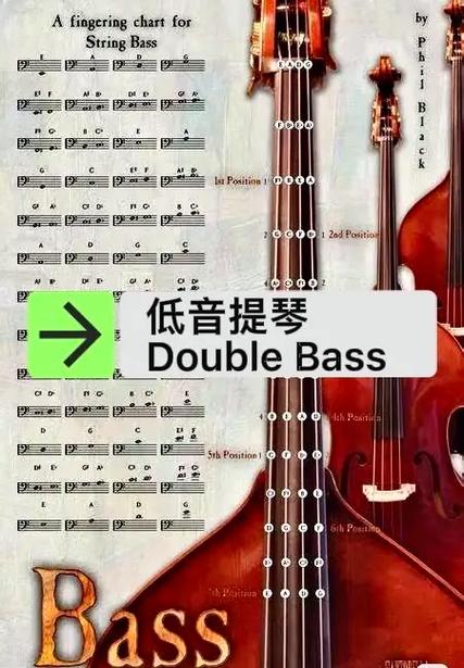 double bass和bass区别图标