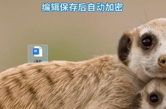 可以发秘密的软件