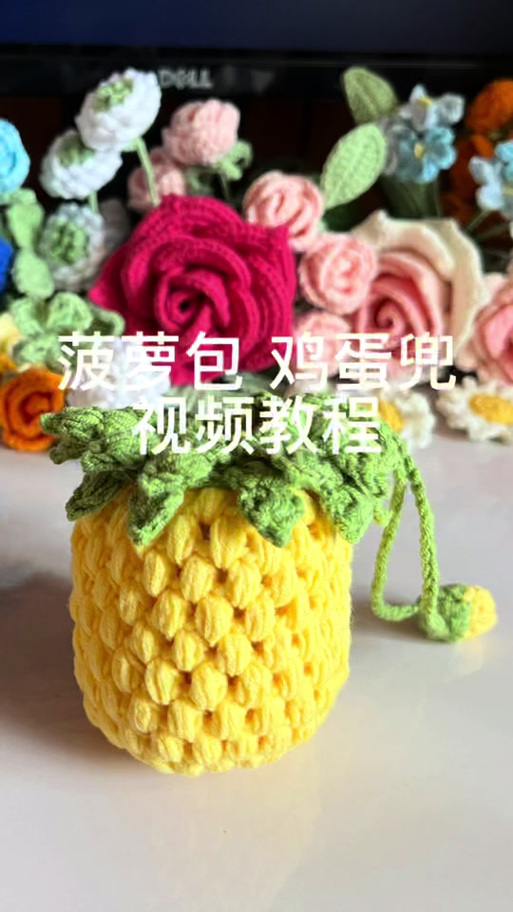 菠萝包包钩法视频教程图标
