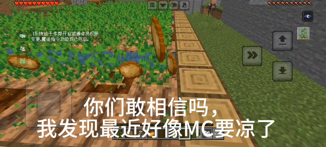 我的世界怎么给好友开权限图标