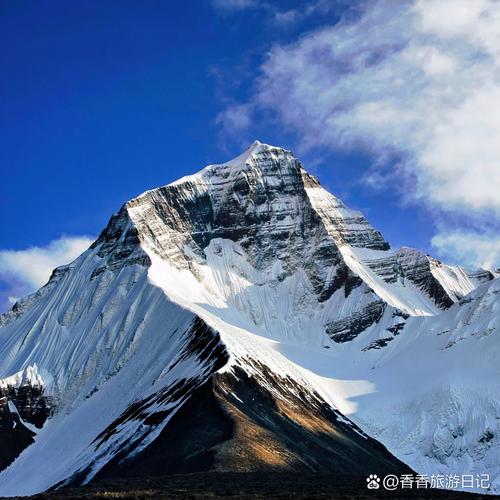 张雪峰考研培训图标