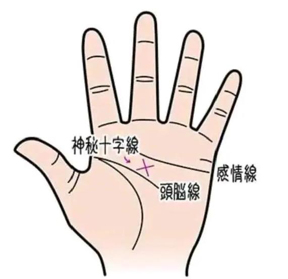 神秘十字纹有多可怕图标