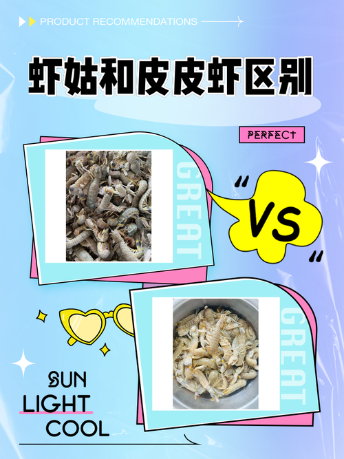 姑虾和皮皮虾的区别图标