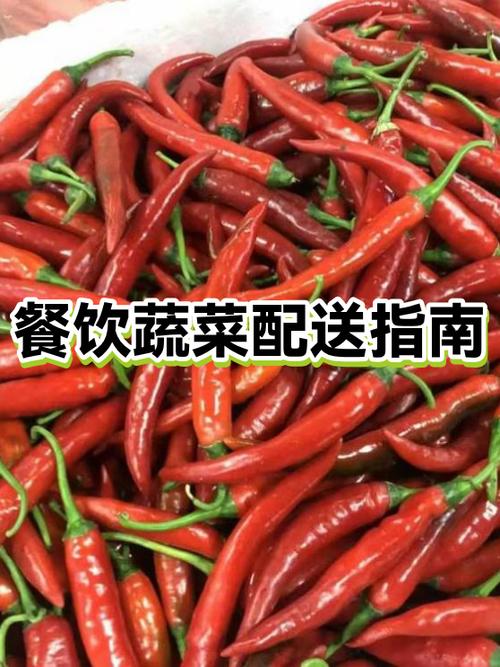 送菜是什么意思图标
