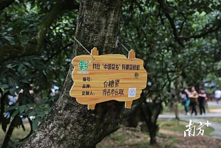 荔枝二维码在哪里截图