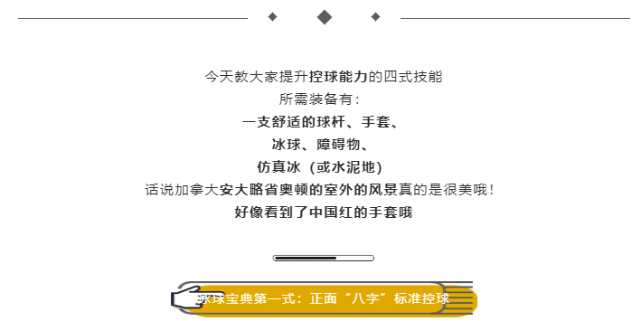 冰球百度百科图标
