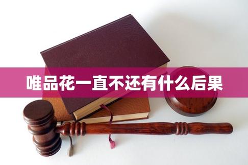 唯品花一直不还有什么后果截图