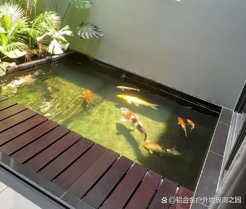 鱼池图片大全大图图标