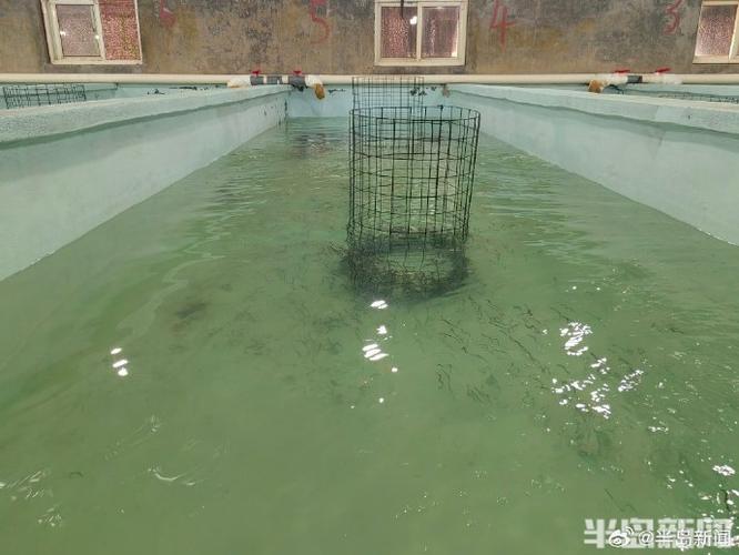 海赚钱图标