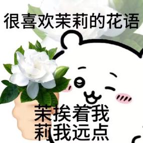 表情包送花送几朵