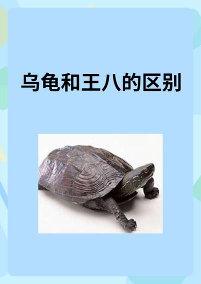 乌龟和王八谁寿命长图标