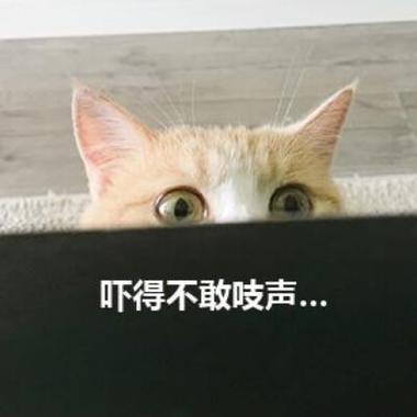 吓猫的声音图标