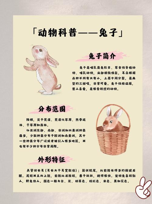 LostLife2.0兔子最新版本更新内容截图