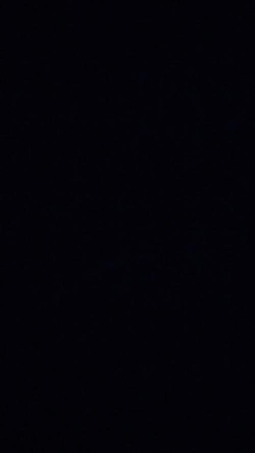 为什么一开快手黑屏
