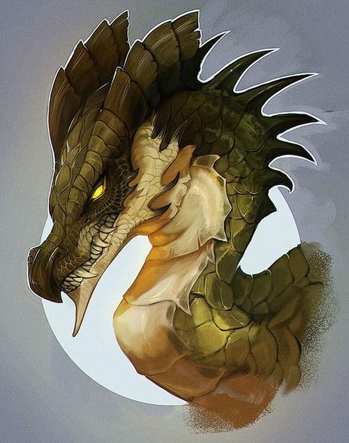 dragon龙图标