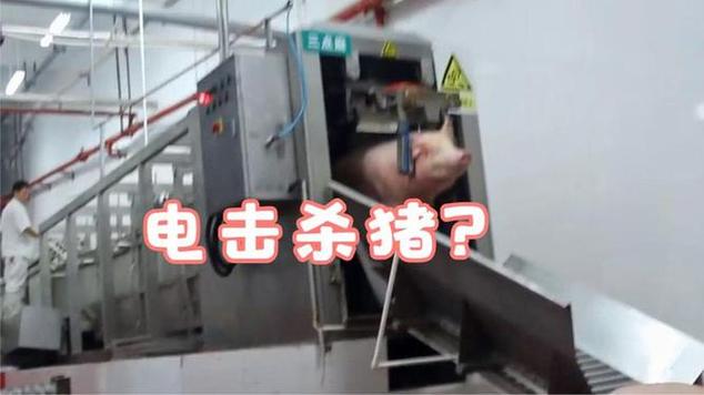 电击杀猪图标