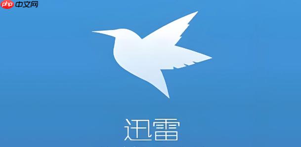 迅雷下载压缩包图标