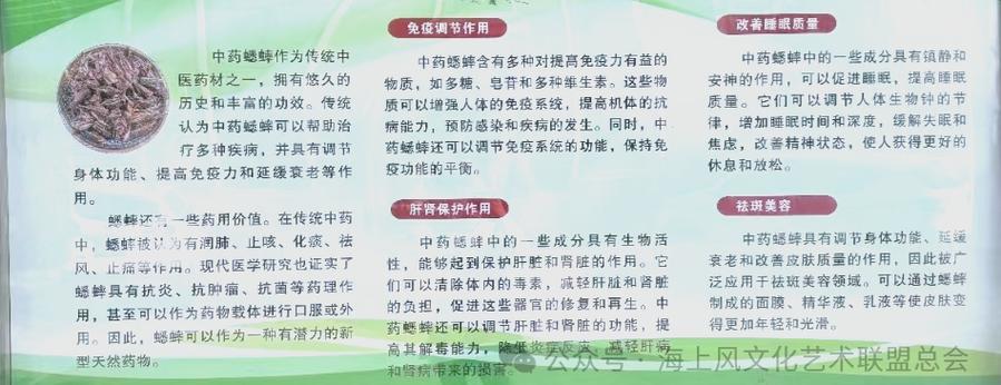 蟋蟀的药效与功效图标