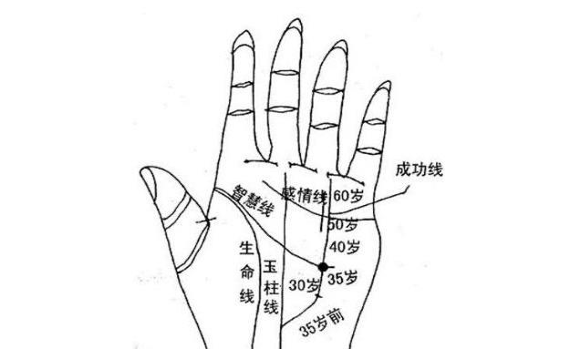 怎么用手掌看命图标
