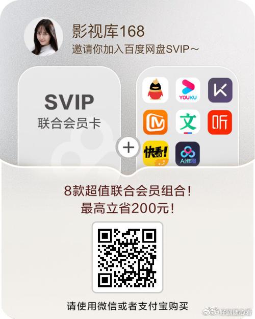 百度网盘svip卡密图标