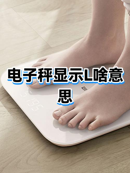 体重秤显示l0图标